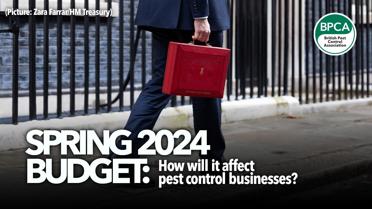 Spring 2024 Budget: how will it affect pest control businesses?