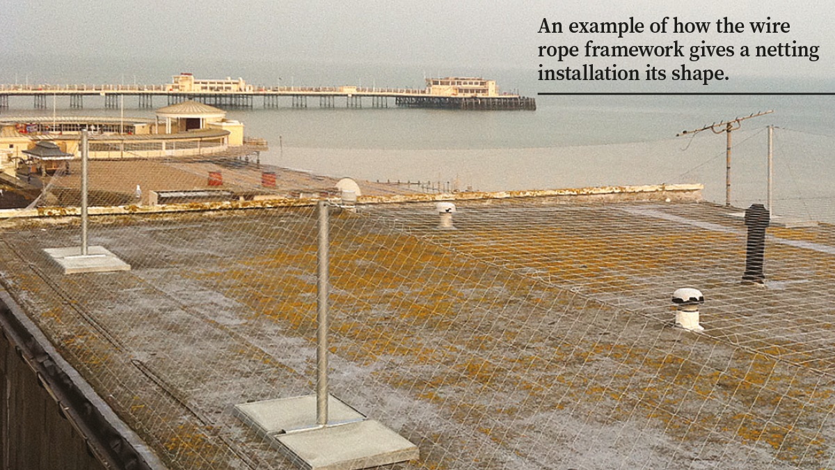 The ultimate bird control netting guide