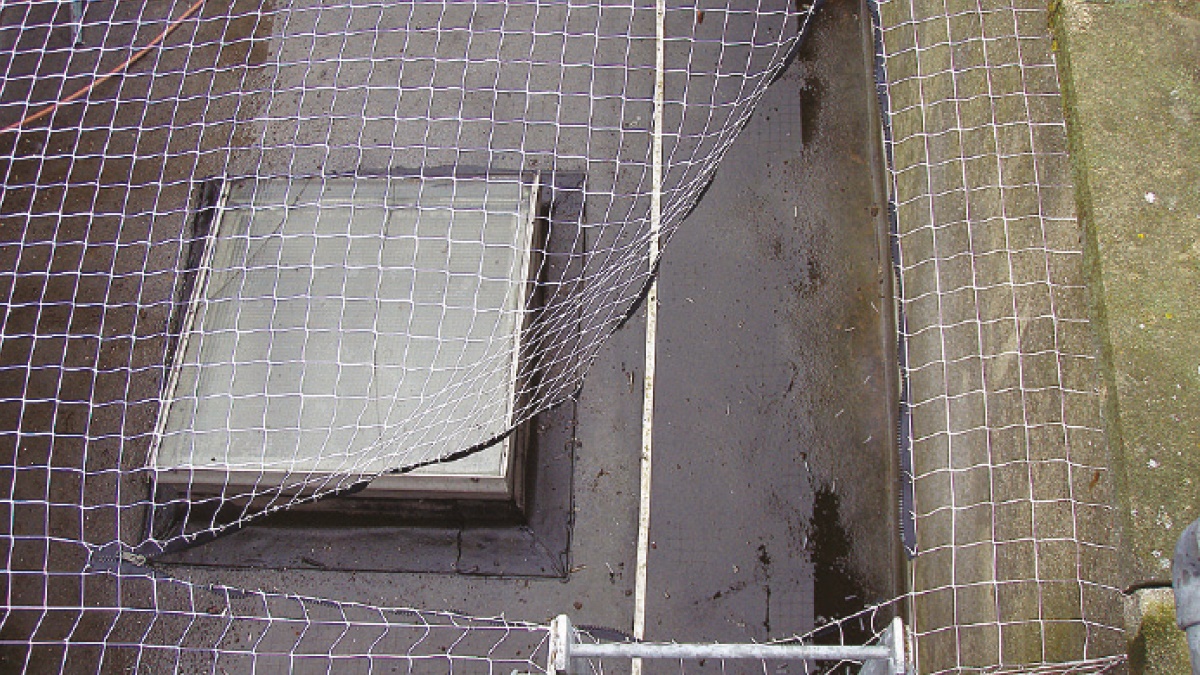 The ultimate bird control netting guide